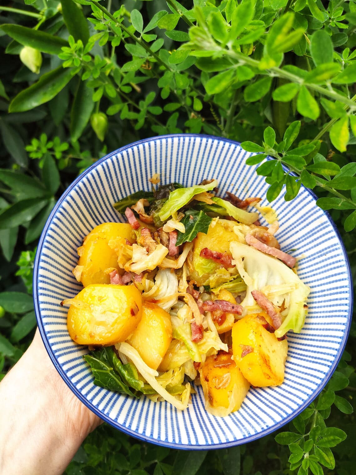 Recette chou vert braisé : ma recette pour vous réconcilier avec ce légume