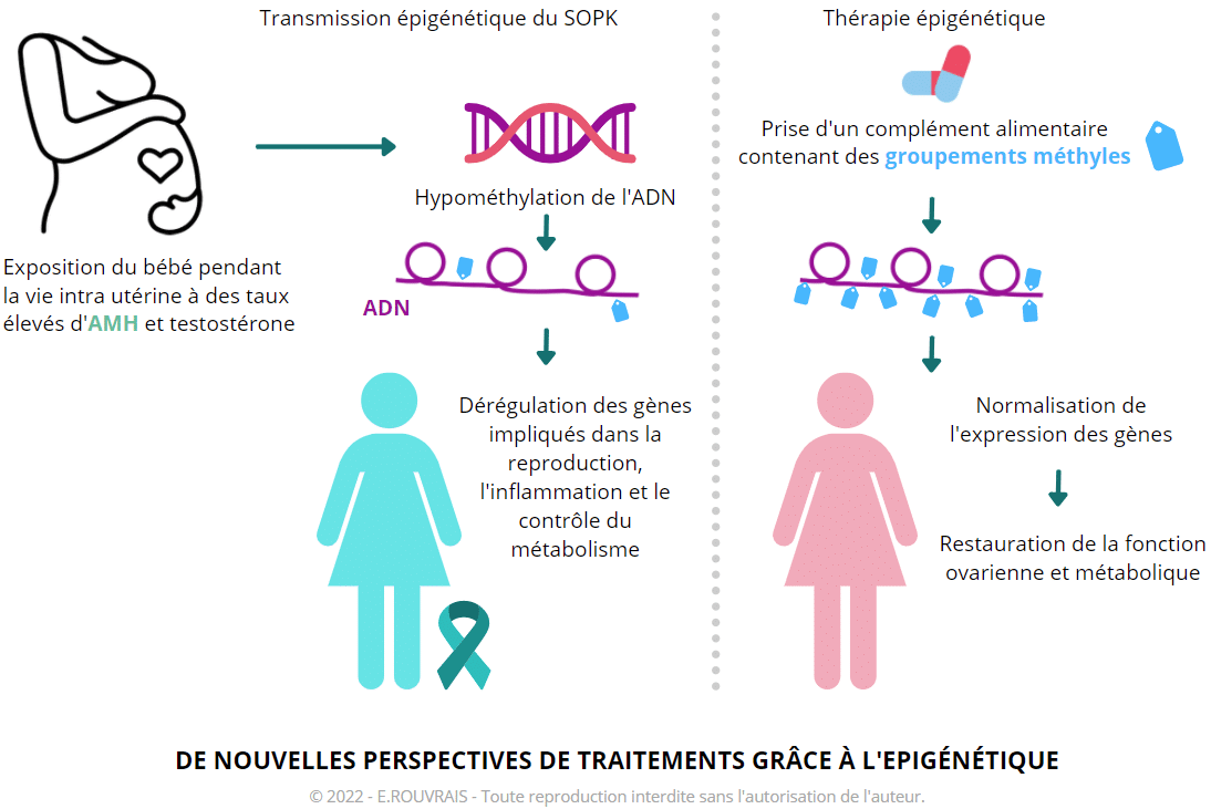 traitements pour le sopk : où en est la recherche