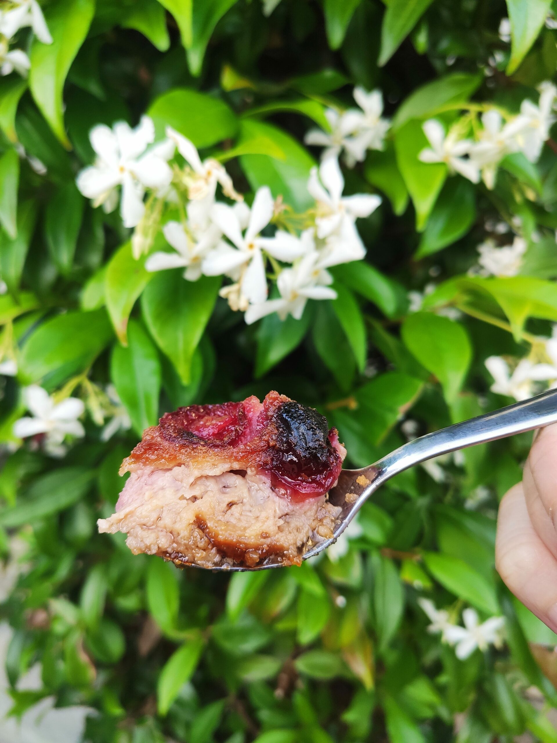 Clafoutis sans gluten : ma recette facile et gourmande